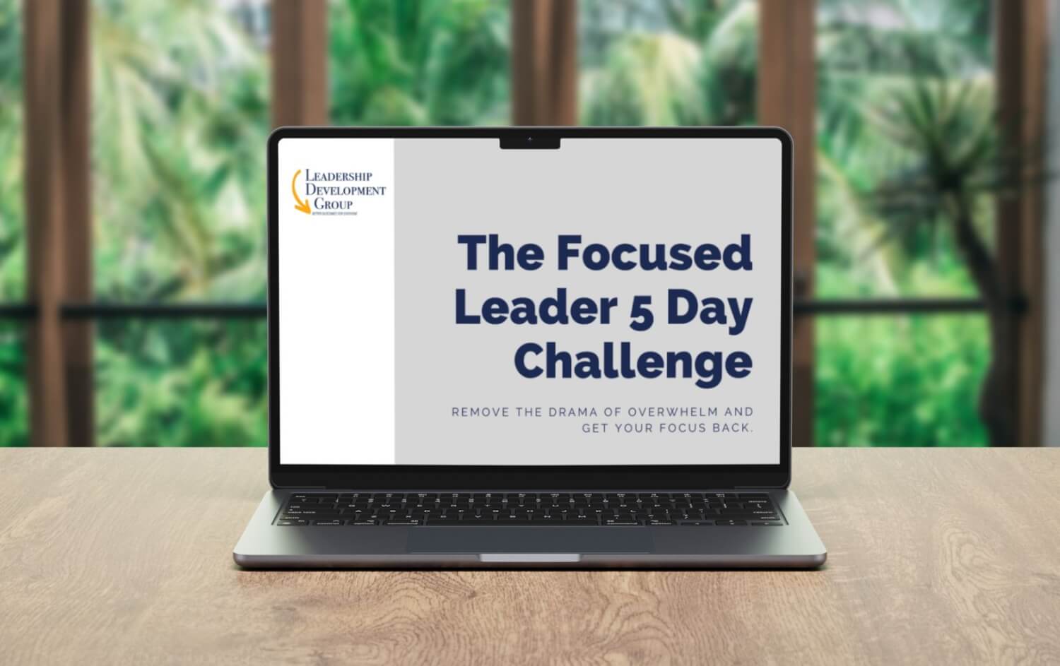 Focused Leader Five Day Challenge - Leadership Development Group